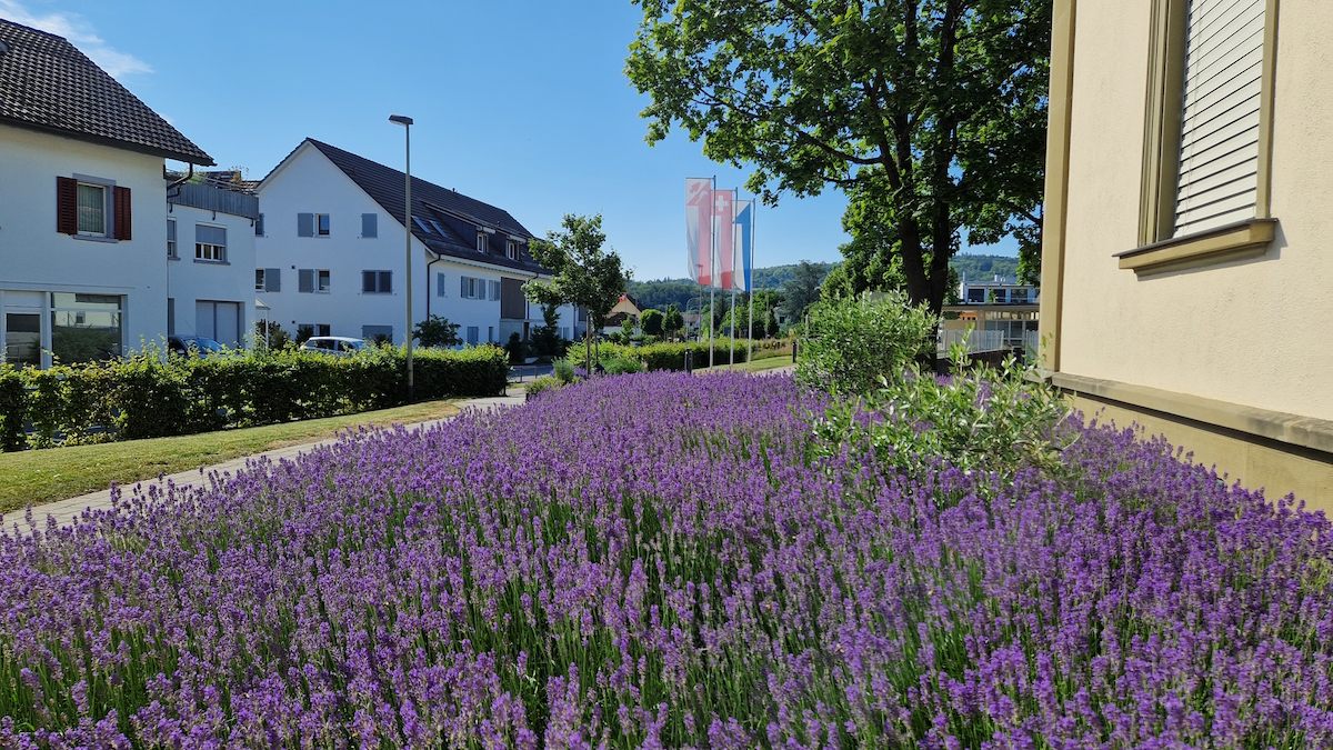 Vorstand - Frauenverein Dachsen
